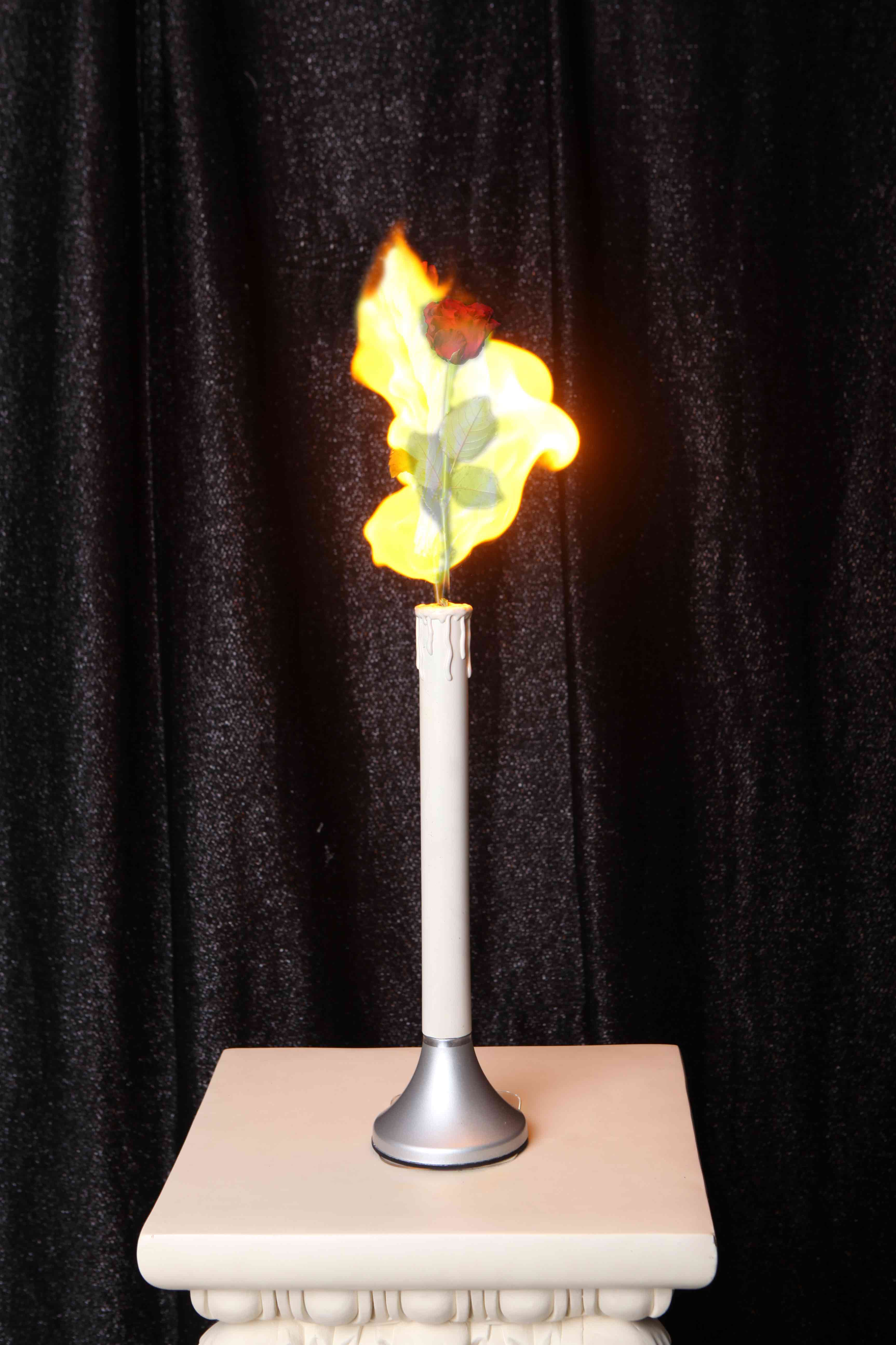 Appearing rose and Self-Igniting Candle. | Magic shop